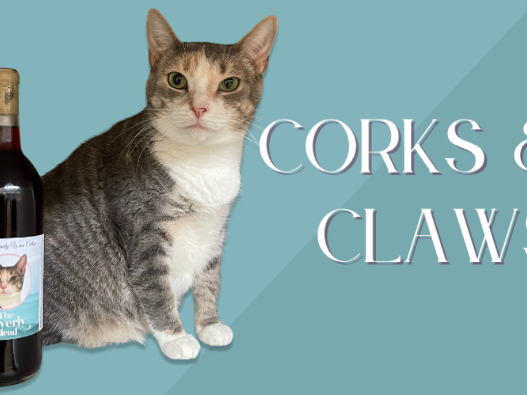 Events | Erie Humane Society