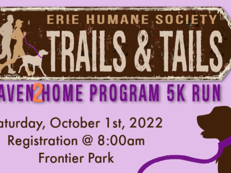 Home Page | Erie Humane Society