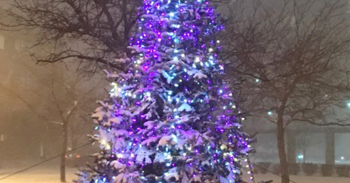 Brighten the Night | Hamot Health Foundation