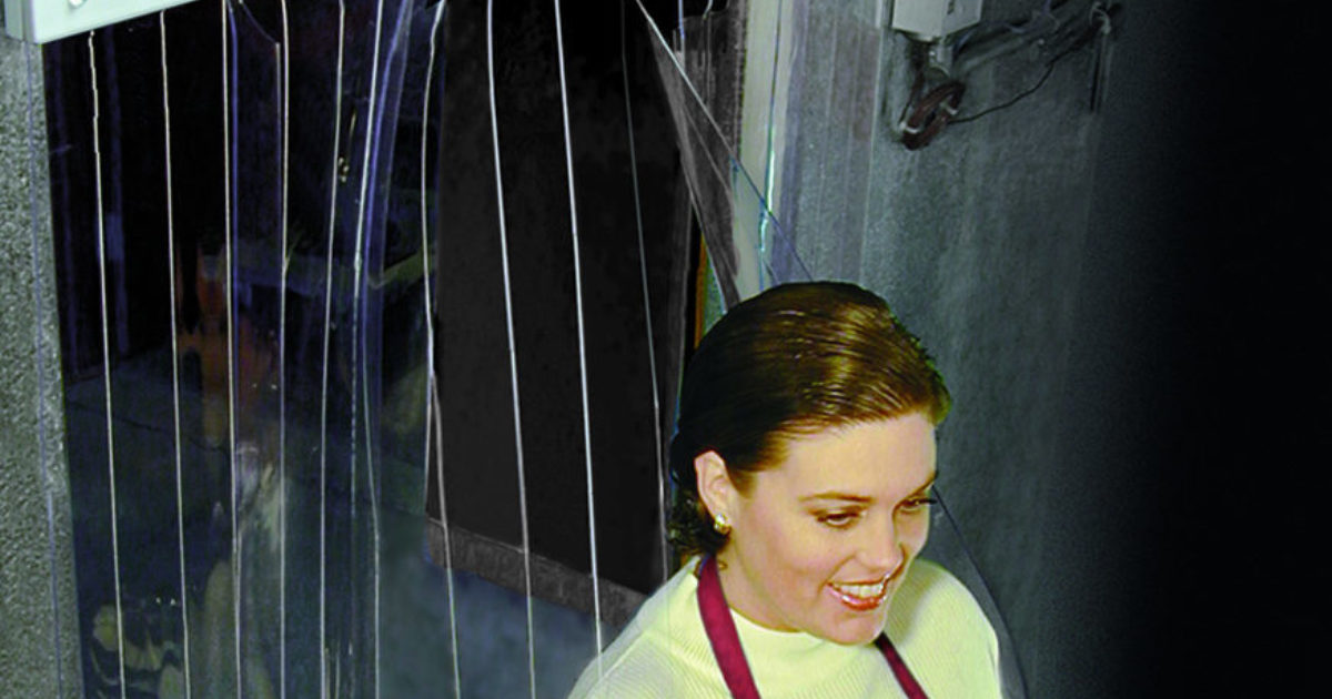 Curtron Curtronizer Strip Doors | Curtron