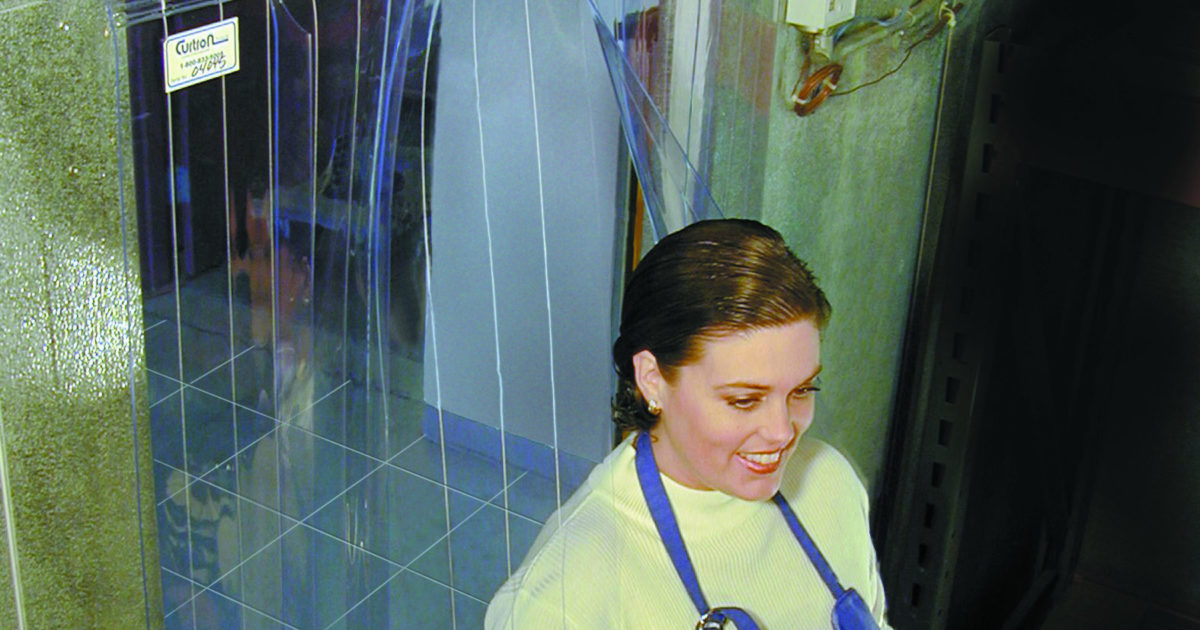 Curtron M-Series Strip Doors | Curtron