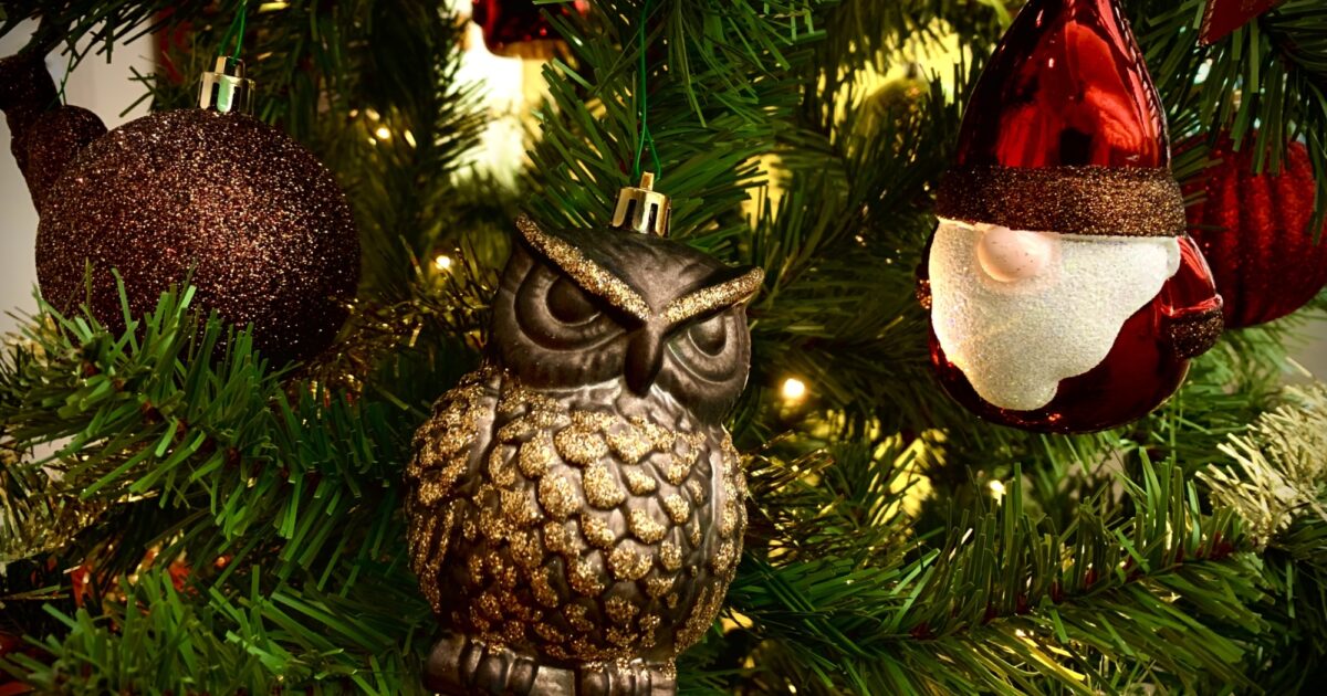 Happy Holidays from Frank Sarris Public Library! | Frank Sarris Public ...