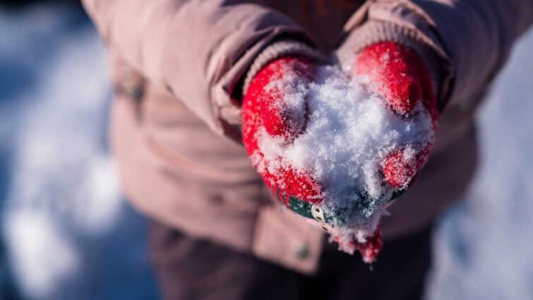 Home Page | Frank Sarris Public Library