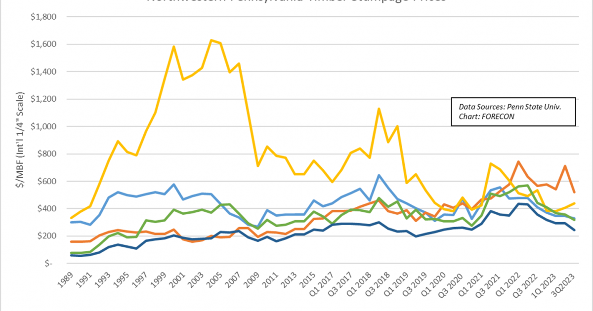 Timber Markets Update: Pennsylvania (January 25, 2024) | FORECON Inc.
