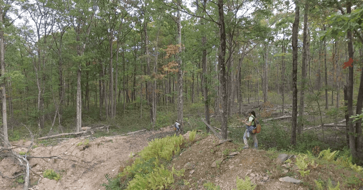 A Day With The Team | FORECON Inc.