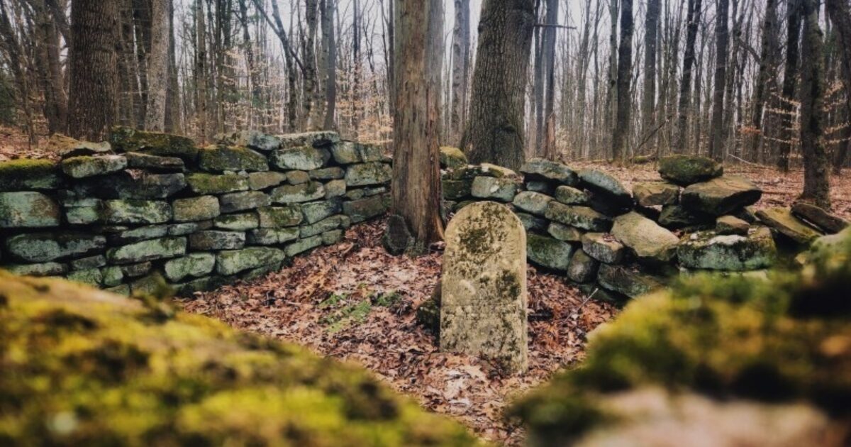 Finding History | FORECON Inc.