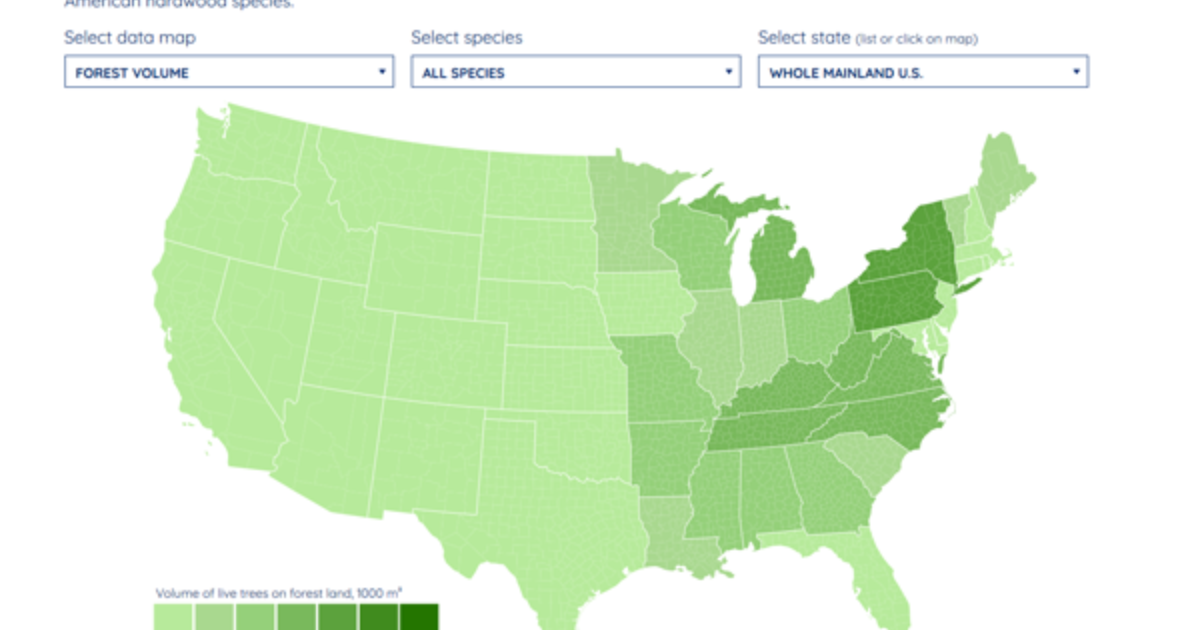 Fascinating Interactive Map Helps Forester Owners… | FORECON Inc.