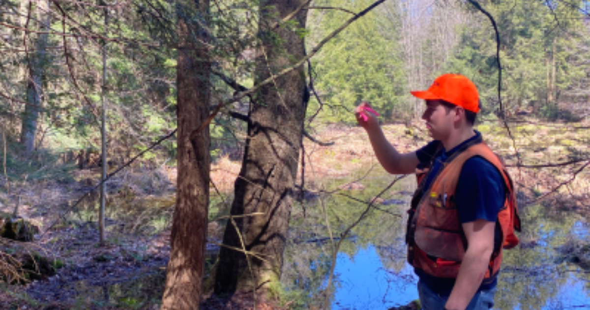 Help Us Welcome Our Latest Team Member | FORECON Inc.