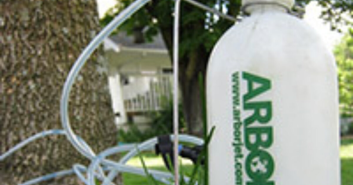 Tree Preservation: What is Tree Trunk Injection? | FORECON Inc.