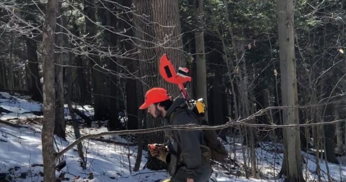 Team Pilots Innovative Tool for Forest Inventories | FORECON Inc.