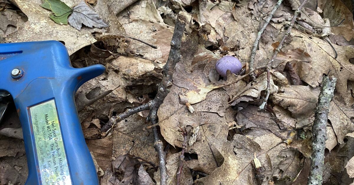 A Closer Look | FORECON Inc.