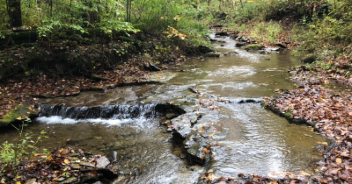 A forestry client project near Ellington NY | FORECON Inc.