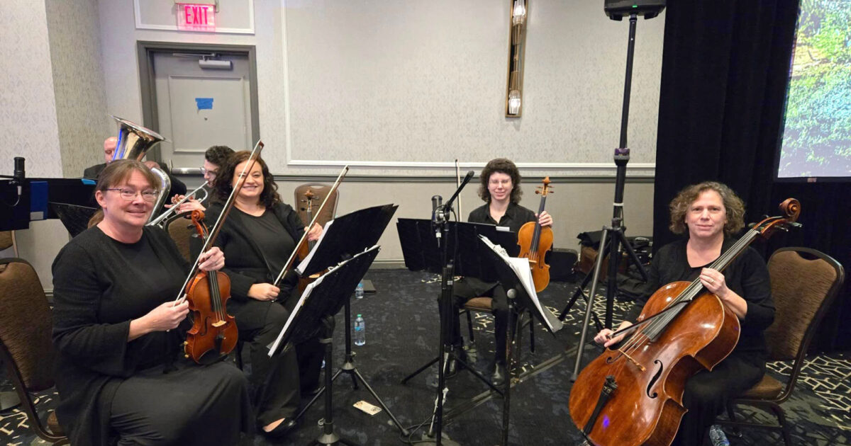 Book Us | Washington Symphony Orchestra